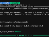 How To Use Pytest With Selenium For Web Automation Testing Pytest