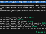 How To Test Raised Exceptions With Pytest Magicmock Advanced Guide