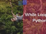 What Are While Loops In Python An Endless Adventure Python Hub
