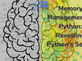 Memory Management In Python Revealing Python S Secret Python Hub