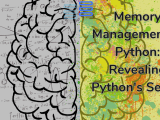 Memory Management In Python Revealing Python S Secret Python Hub
