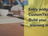 Entry Widget In Customtkinter Build Your Own Learning Diary Python Hub