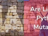 6 Pillars Of Python Syntax Python Hub
