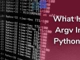 What Is Argv In Python Python Hub