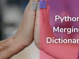 Python Merging Dictionaries A Quick Guide Python Hub