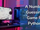 How To Create A Random Number Guessing Game In Python Python Hub