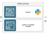 1 Introduction To The Python Driver For Oracle Database Python