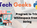 Python Program To Trim Whitespace From A String Python Programs
