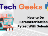 How To Do Parameterization In Pytest With Selenium Python Programs