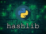 Python Md5 Hash Password