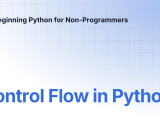 Control Flow In Python Beginning Python For Non Programmers