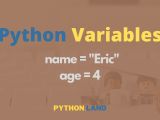 Python Variable Storing Information For Later Use Python Land Tutorial