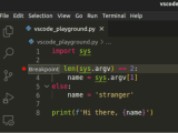 Debug Python In Vscode Softwaredebug