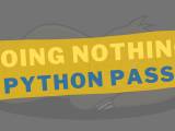 Python Pass Do Nothing When And How To Use Python Land