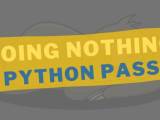 Python Pass Do Nothing When And How To Use Python Land