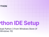 Python Ide Setup Python