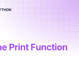 The Print Function Python