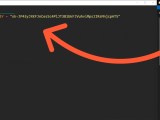 Create A Chatgpt Clone With Streamlit In Under 50 Lines