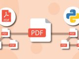 How To Automate Pdf Generation With Python And Reportlab Pythonb Org