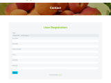 Food Ordering System Project Using Python Django Report For Final Year