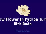 Draw Flower In Python Turtle With Code Pythondex
