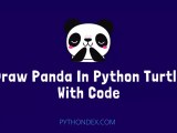 Draw Panda In Python Turtle With Code Pythondex