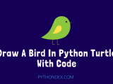Draw A Bird In Python Turtle With Code Pythondex