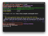 Mongodb Create Index