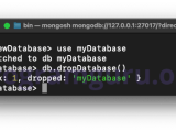 Mongodb Drop Database