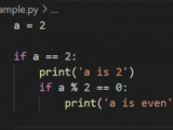 Python Indentation