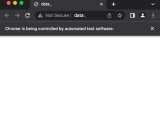Set Window Size In Selenium