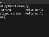 Python String Capitalize