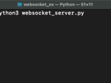 Python Websockets Example