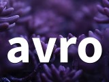 Avro 1 12 1 Avro Is A Serialization And Rpc Framework Pythonfix