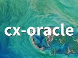 Cx Oracle 8 3 0 Python Interface To Oracle Pythonfix