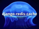 Django Redis Cache 3 0 1 Redis Cache Backend For Django Pythonfix