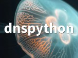 Dnspython 2 8 0 Dns Toolkit Pythonfix