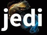 Jedi 0 19 2 An Autocompletion Tool For Python That Can Be Used For