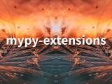 Mypy Extensions 1 1 0 Type System Extensions For Programs Checked