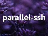 Parallel Ssh 2 16 0 Post1 Asynchronous Parallel Ssh Library