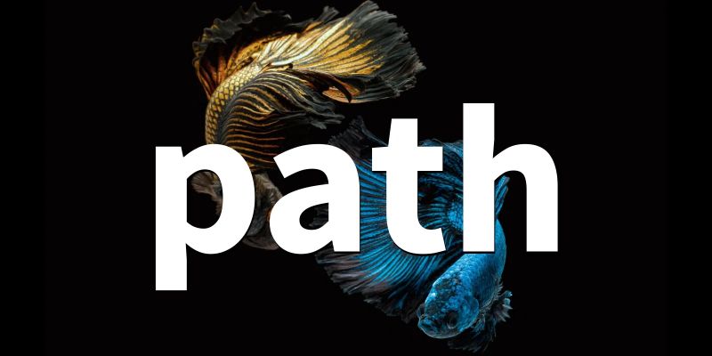 path 17.0.0 - A module wrapper for os.path - PythonFix.com