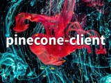 Pinecone Client 5 0 1 Pinecone Client And Sdk Pythonfix