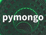 Pymongo 4 10 1 Python Driver For Mongodb Pythonfix