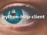 Python Http Client 3 3 7 Http Rest Client Simplified For Python