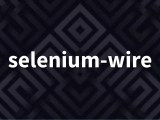 Selenium Wire 5 1 0 Extends Selenium To Give You The Ability To