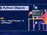 Objects In Python With Examples Python Geeks