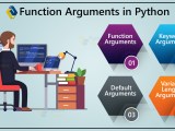 Python Arguments With Syntax And Examples Python Geeks
