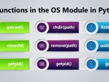 Python Os Module Python Geeks