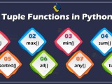 Python Tuples Python Geeks