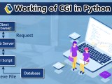 Cgi Programming In Python Python Geeks